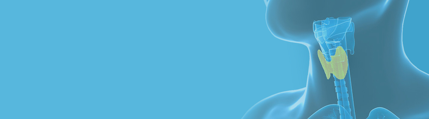 Parathyroid Disease and Hyperparathyroidism (Hypercalcemia) | Saint ...