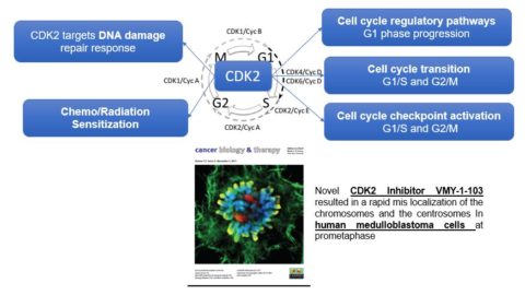 Neurodegenerative Disease Therapy | Saint John’s Cancer Institute
