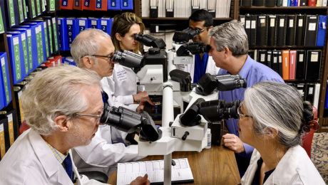 Pathology - Saint John’s Cancer Institute